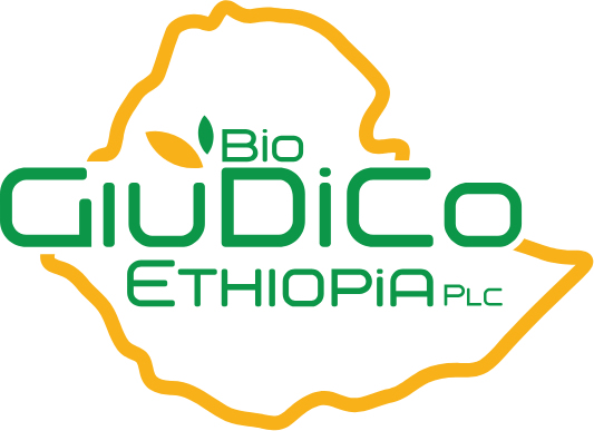 Giudico Bio Ethiopia PLC – Feed Bio Group
